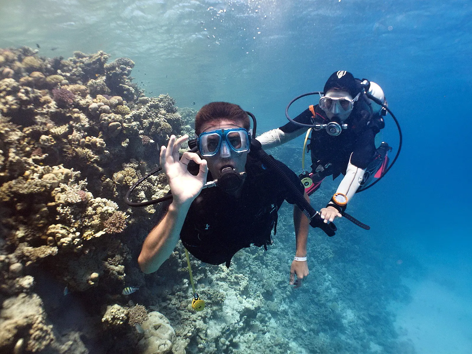 How to start scuba diving and learn to dive | Egypt Dive