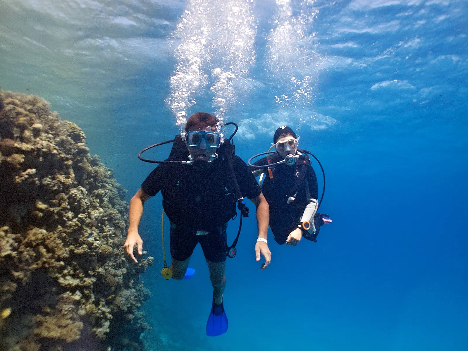 Travel insurance for diving in Egypt | Egypt Dive