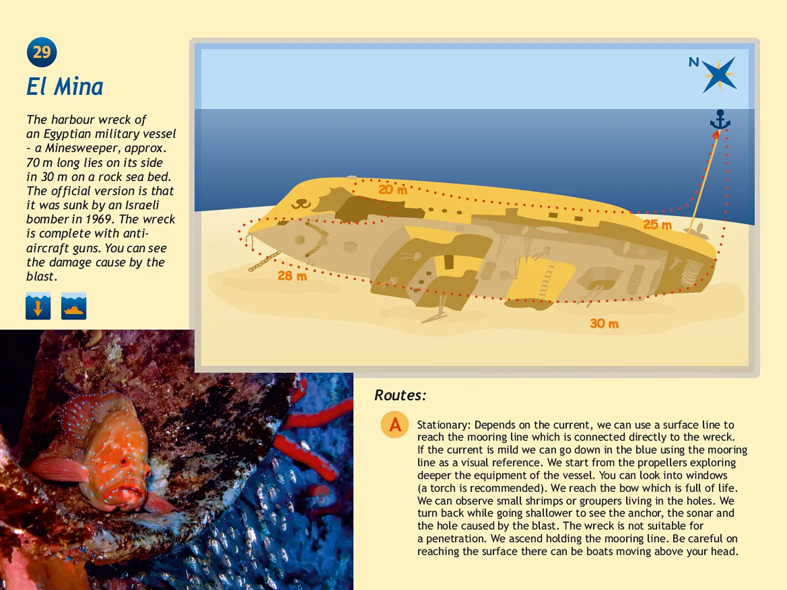 Dive Sites in Hurghada, coral reefs Red Sea | Egypt Dive