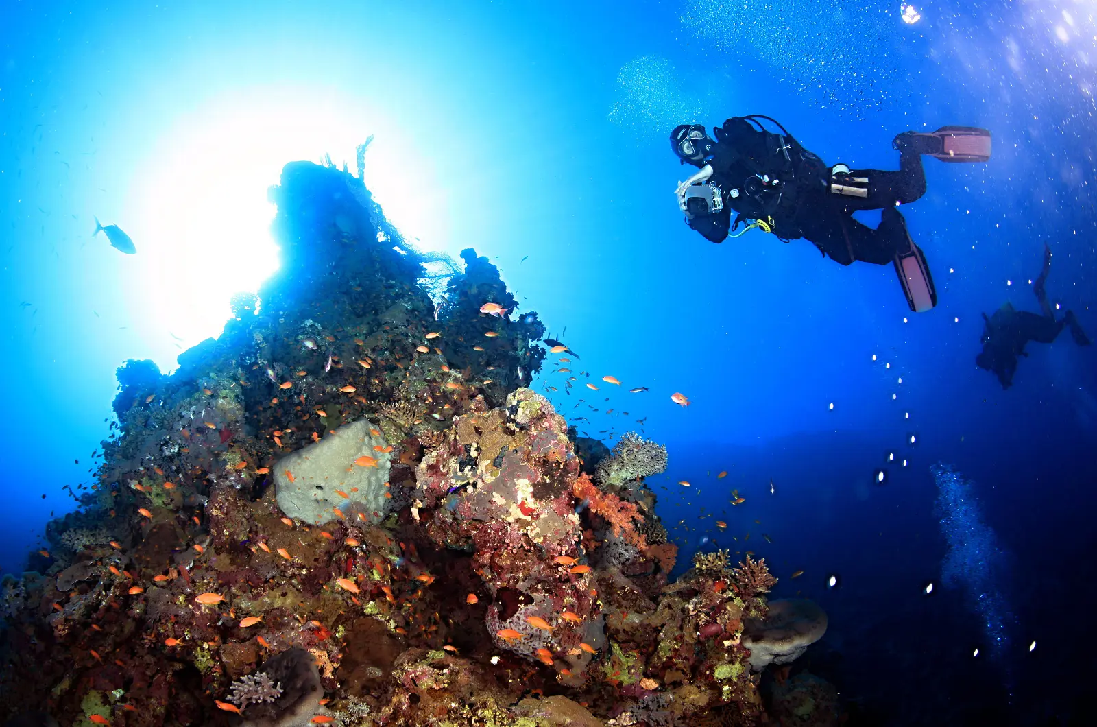 Diving and PADI courses in Hurghada Red Sea | Egypt Dive
