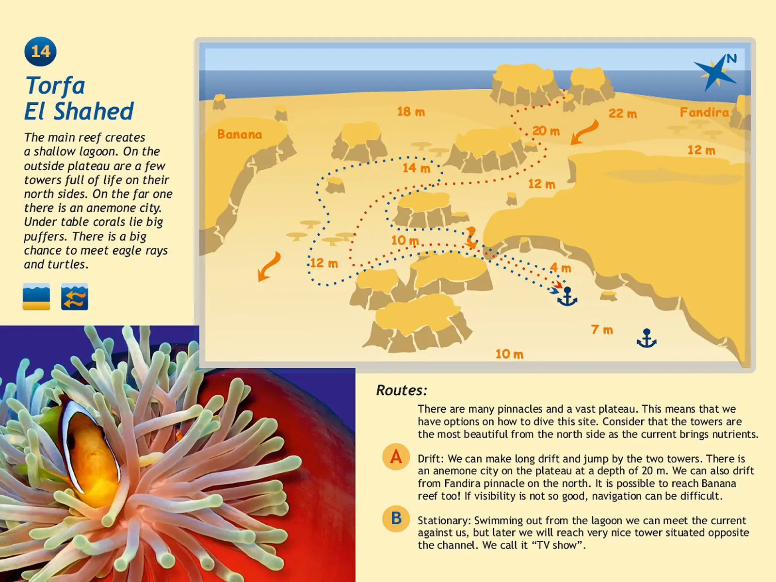 Dive Sites in Hurghada, coral reefs Red Sea | Egypt Dive