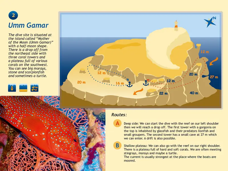 Dive Sites in Hurghada, coral reefs Red Sea | Egypt Dive
