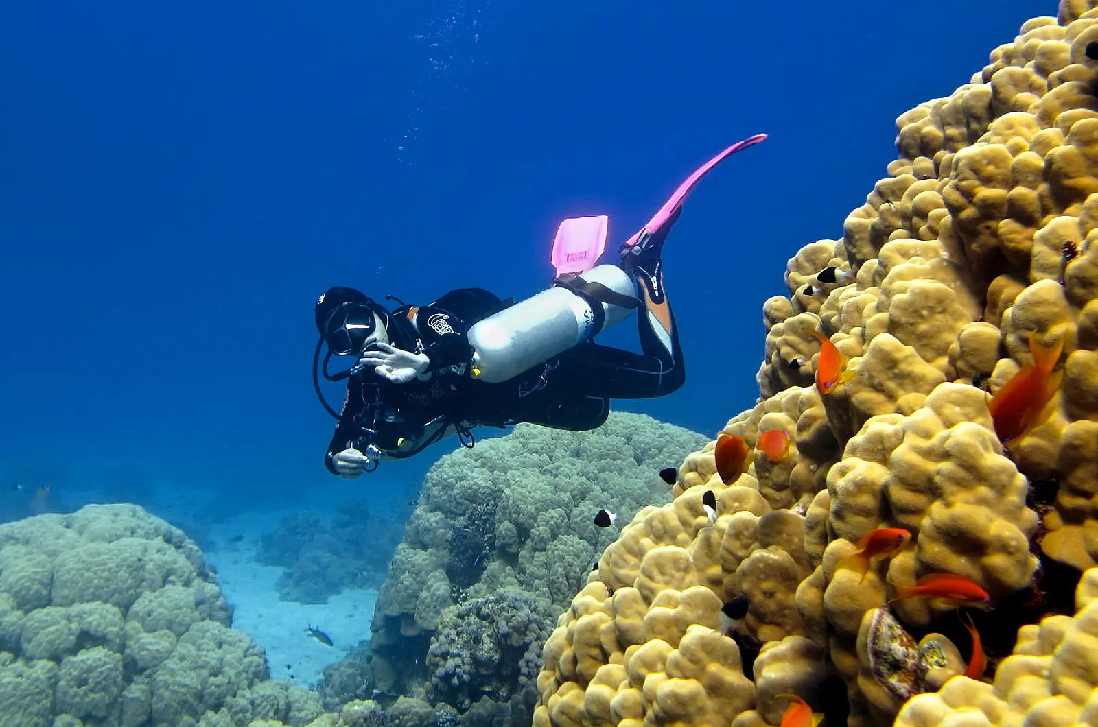 Diving and PADI courses in Hurghada Red Sea | Egypt Dive