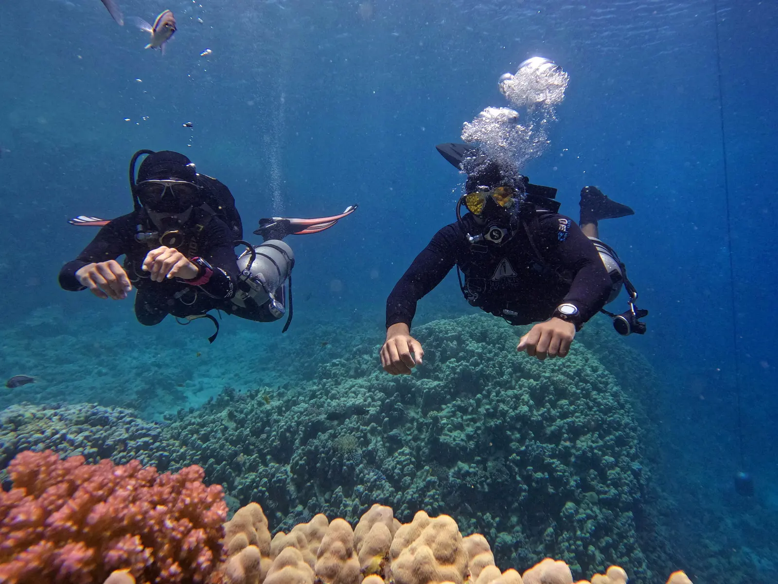PADI Sidemount Diver Course Hurghada | Egypt Dive