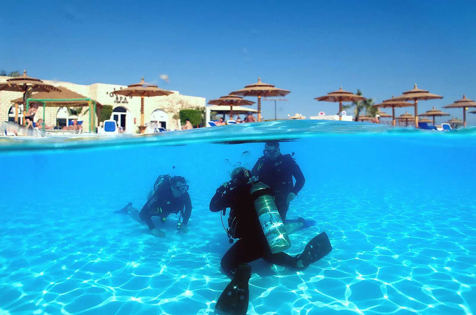 Diving and PADI courses in Hurghada Red Sea | Egypt Dive