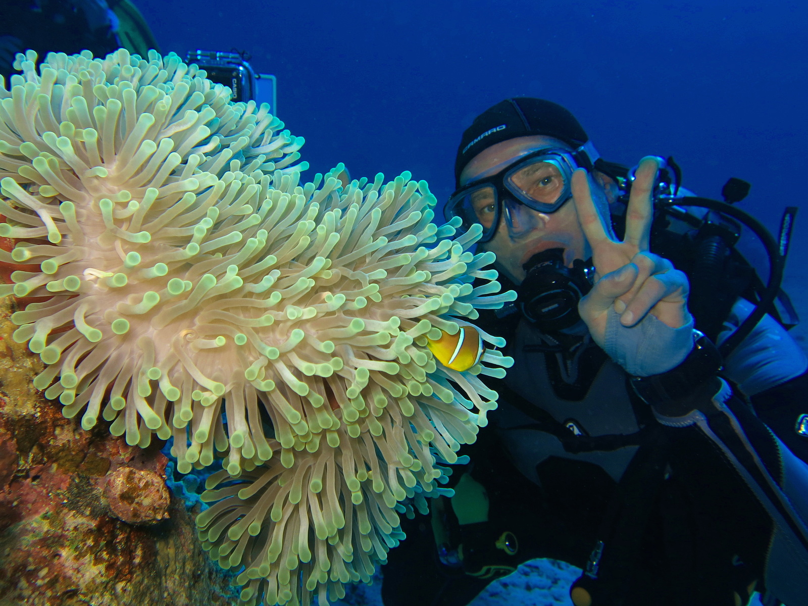 Diving and PADI courses in Hurghada Red Sea | Egypt Dive